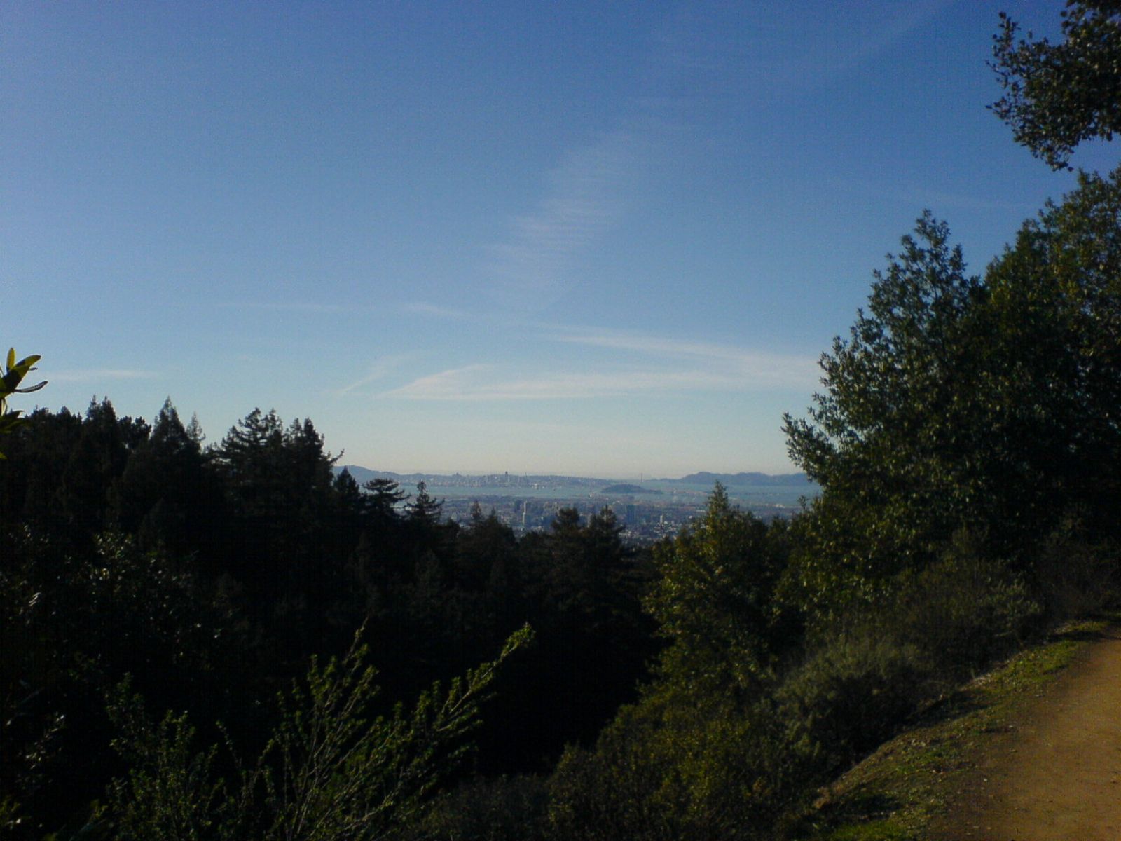 Bay Nature Institute